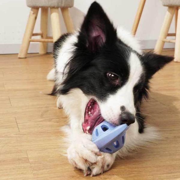 Dundies Boomerang LED Flasher Dog Enrichment Toy - Dundies Pty Ltd