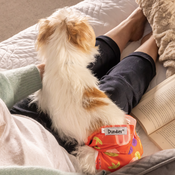 Dundies Fruity Treats Snappie - 20% OFF - Dundies Pty Ltd