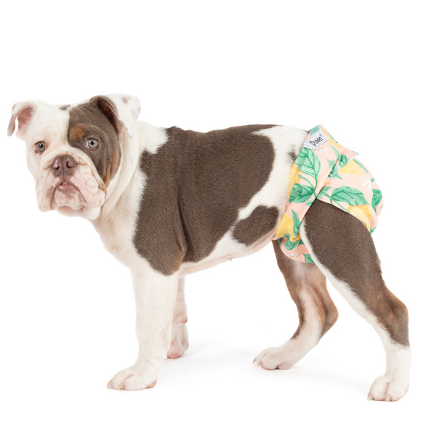 Dundies Pink Lemonade Belly Band - 20% OFF - Dundies Pty Ltd