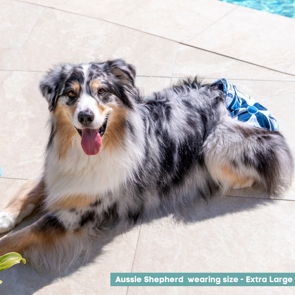 Dundies Greek Islands Snappie - 20% OFF - Dundies Pty Ltd