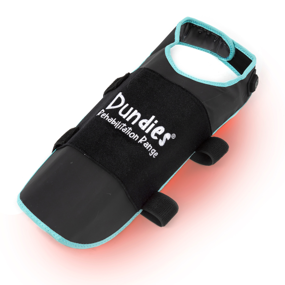 Red Light LED Therapy - Dundies Pty Ltd